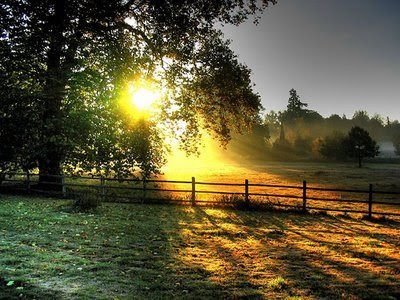 Pubertisme: Ochtendzon ...